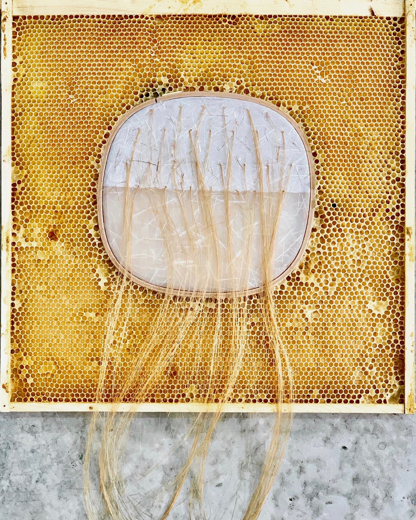Artist Conversation with Ava Roth | Bee Colony Collaboration - All ...