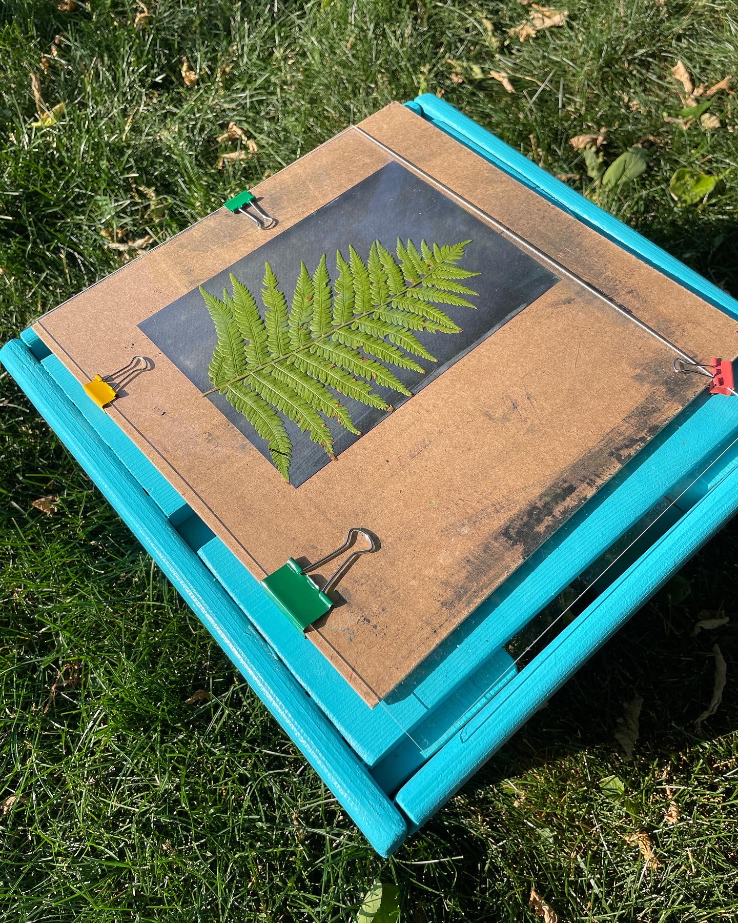 Create Beautiful Cyanotype Prints To Use In Encaustic Paintings